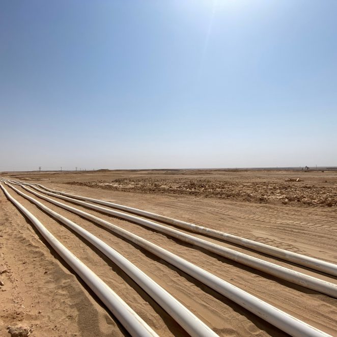 Flexible pipes for high pressure hydrocarbons - SoluForce